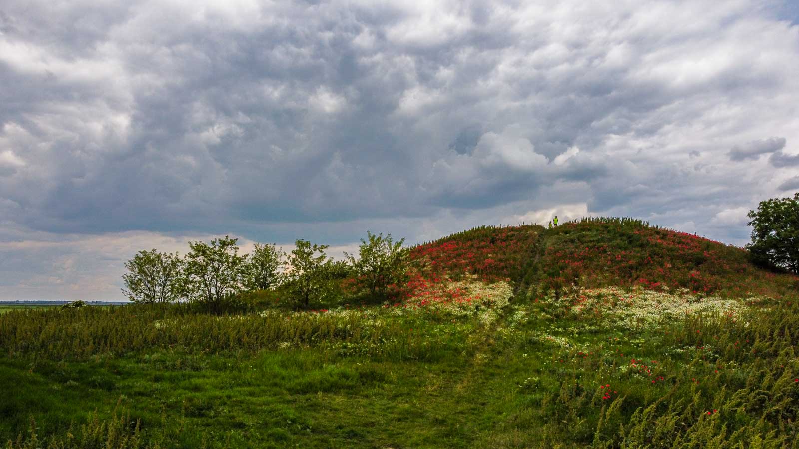 A Gödény-halom is megjelenik a vadászati expón - Newjság